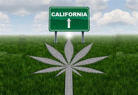 Californias Cannabis Industry Conundrum And The Road Ahead
