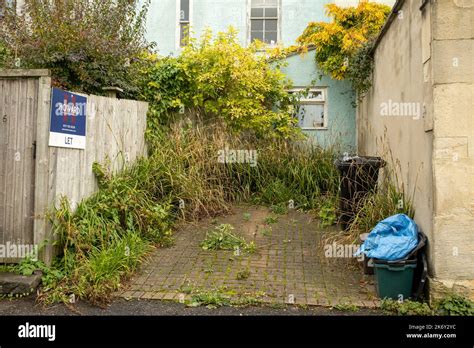 October Unused And Over Grown Parking Bay Behind A House In Bristol England UK Stock