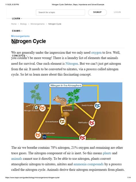 Nitrogen Cycle Definition Pdf Nitrate Chemical Elements