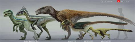 Velociraptor Versus Utahraptor Utahraptor Vs Smilodon Location