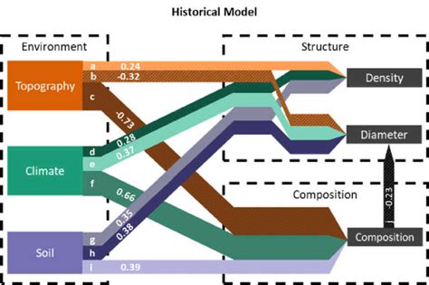 Historical Structural Equation Model The Relative Importance Of Each