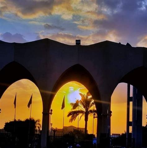 shaimaa reda