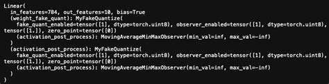 broken disable fake quant quantization pytorch forums