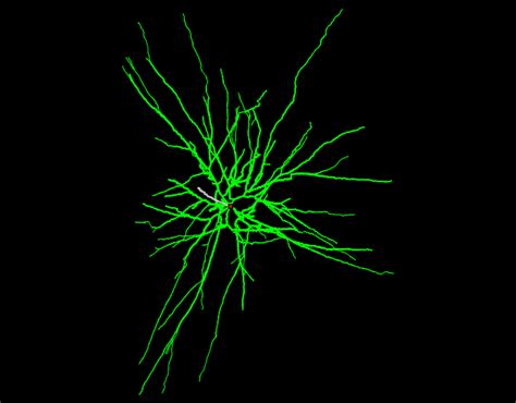 Detailed Cell Information Vsct Cell 4