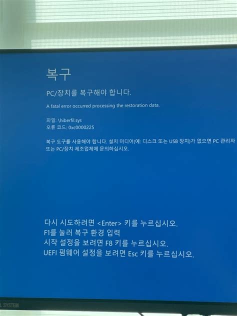 윈도우10 블루스크린 지식in