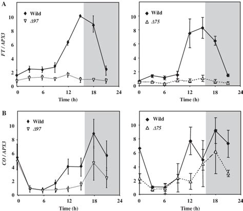 Ft And Co Mrna Pattern In Both D97 And D75 Mutants Grown Under Ld A