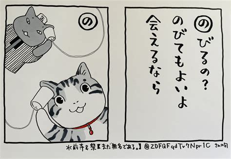 「起きた人、おはよう〜 寝る人、おやすみ〜 これは水前寺さん Zdfqfqdtv7npr1c の句。ありがとうございます」深谷かほる「夜廻り猫」11巻の漫画