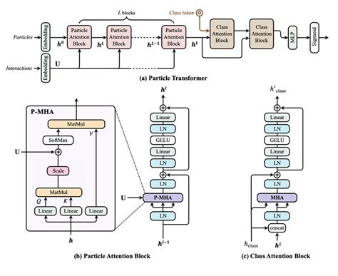 the particle transformer part architecture adapted from ref [29