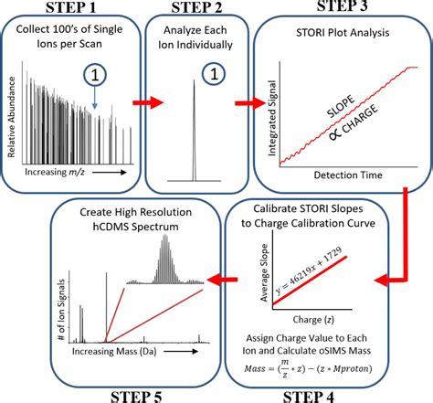 35 Online Quadratic Formula Calculator