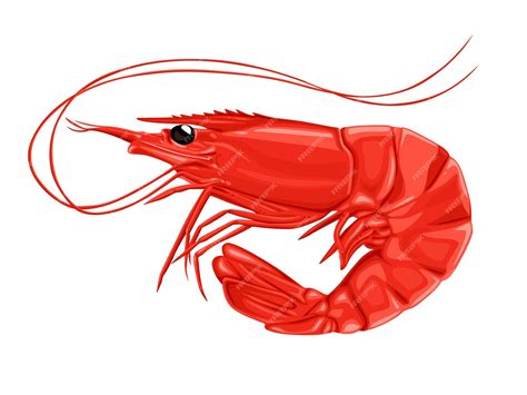 새우 아이콘 흰색 배경 현실적인 벡터에 껍질에 삶은 새우 프리미엄 벡터