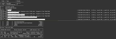 Training Slows Down After Ops ImageDecoder Encounters A Corrupted JPEG Issue NVIDIA