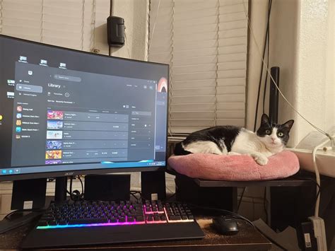 Rate My Setup It Has A Ten Giga Purr Cpu And 20 Claws Of Ram Wifi