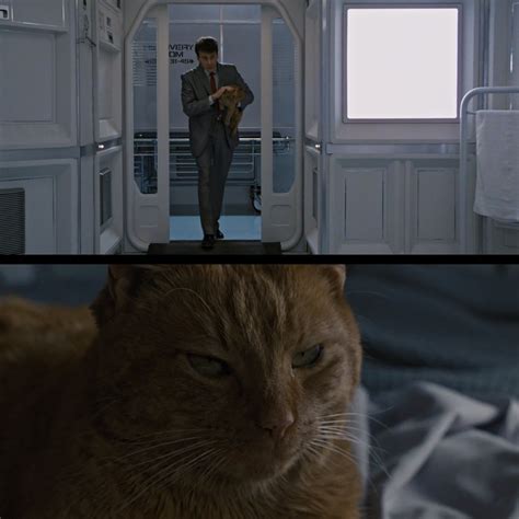 Alien Movie Cat 60 Photos Moonagedaydreamfilm