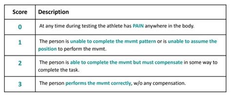 Ms Ii Midterm Exam Flashcards Quizlet