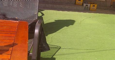 Yo Shadow Calm Down R Pics