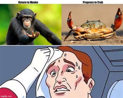 Imitation Crab Memes