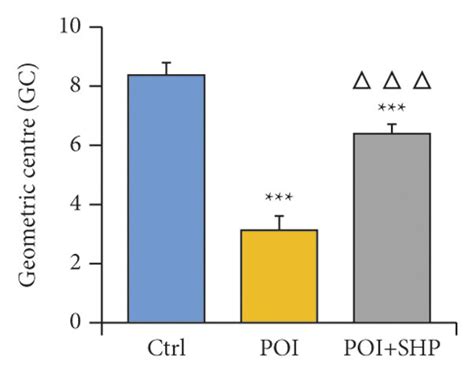 Intestinal Motility Evaluation A Gastrointestinal Transmission