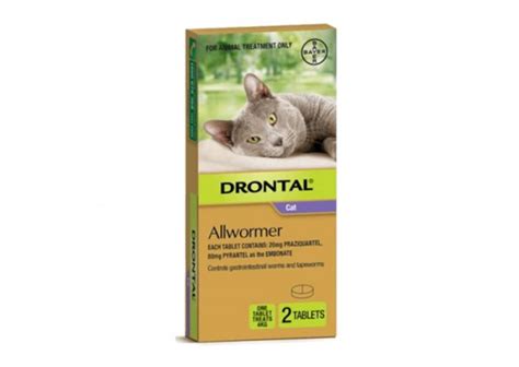 Drontal Allwormer Cat 2 Tablets Healthylife