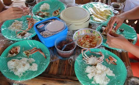 Sibul Spring Beatific