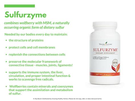 Support Your Core Supplement Class Growing Healthy Homes