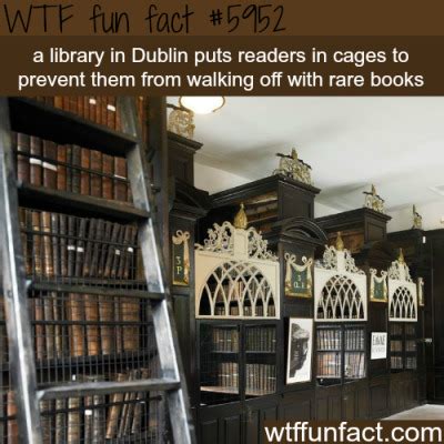 Wtf Fun Factss Tumblr Com Tumbex