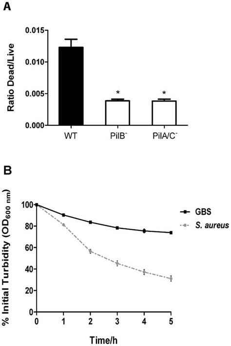 Quantification Of Bacterial Lysis A 10 Ml Of Bacterial Culture Of Gbs