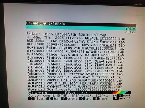 Zx Spectrum For Mister Fpga 32gb Sdcard — Amigacoffin