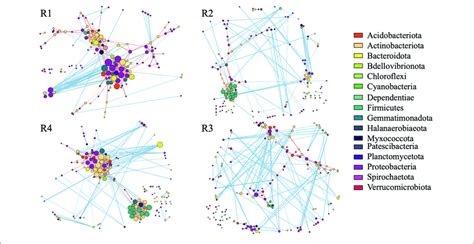 Correlation Base Network Analysis Showing Potential Bacterial Download Scientific Diagram