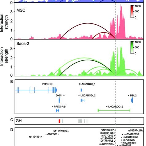 Pathogenicity Predictions Of The Six Missense Variants Tested Download Scientific Diagram