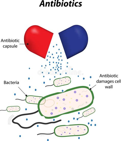 Types Of Bacteria Stock Vector Illustration Of Bacterial 34700241