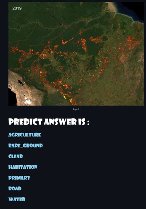 GitHub Earthoer Ml Amazon Fromspace Machine Learning Predict Image From Space