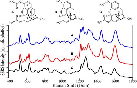 Frontiers A Surface Enhanced Raman Spectral Library Of Important