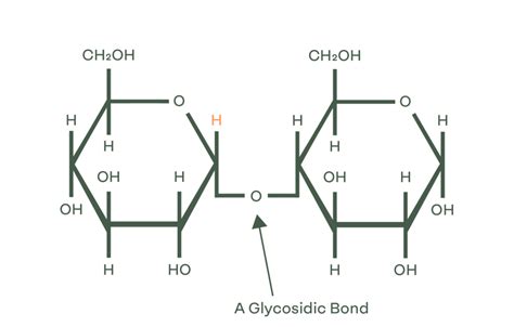 What Is Dextrose Equivalent De Lehmann Ingredients