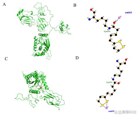 分子动力学模拟案例最新解析！速来学习~ 知乎