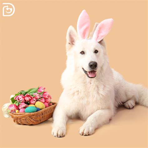 Easter Feast Eau Claire