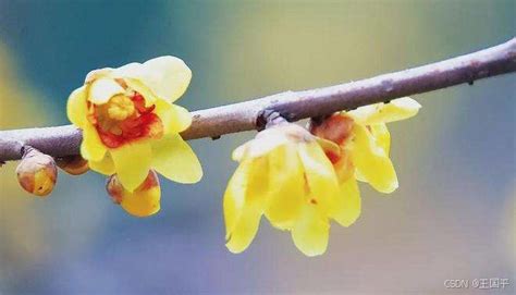 动手学pytorch建模与应用：从深度学习到大模型deepseek教程 前言pytorch王国平 讯飞ai开发者社区