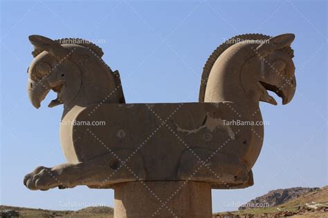 تصویر با کیفیت مجسمه های شیر تخت جمشید
