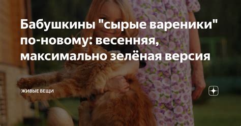Бабушкины "сырые вареники" по-новому: весенняя, максимально зелёная ...
