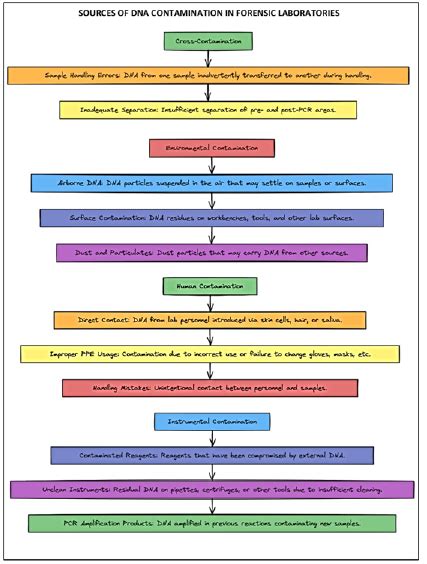 Preventing Dna Contamination In Forensic Laboratories An Illustrated Review Of Best Practices