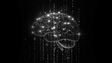 How Predictive Coding Is Changing Our Understanding Of The Brain Erik Dalton Blog