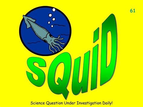 Ppt Squid Powerpoint Presentation Free Download Id 2532083