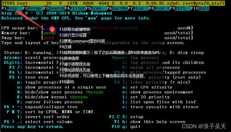 linux常用命令：htop（交互式进程查看器）【后台运行及查看状态命令】【top命令的升级版】 linux htop csdn博客