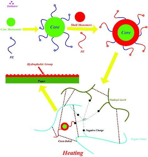 Synthesis Of Functional Emulsions With Coreshell Structures As Surface