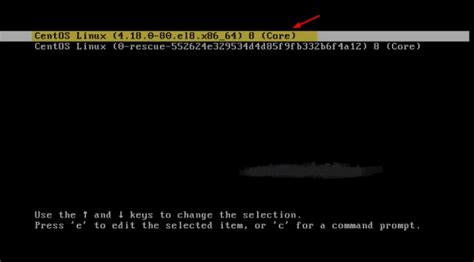 cara boot server centos 8 rhel 8 dalam single user mode antmediahost