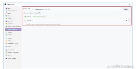 使用 Spring Initializr 创建 Spring Boot 项目 Spring Intitalizer 阿里云 Csdn博客