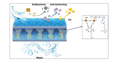Robust Zwitterionic Polyimidazolium Coated Pvdf Membrane For Oily Water Treatment With
