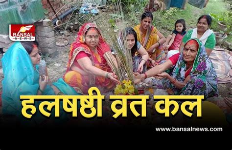 हल षष्ठी पर संतान प्राप्ति के लिए इस खास पौधे में लगाएं गांठें जानें तरीका