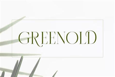 45 Best Thin Serif Fonts Narrow And Skinny Fonts To Download Envato Tuts