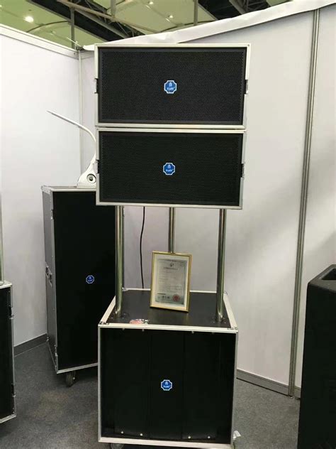 Portable Line Array Speaker 15 Inch Professional Outdoor Speaker With Flight Case Cabinet