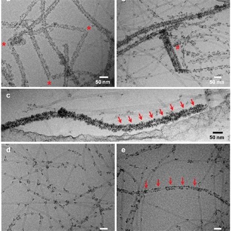 Tem Images A C And Line Scans D F Of J Aggregate Cds Nanohybrids Download Scientific